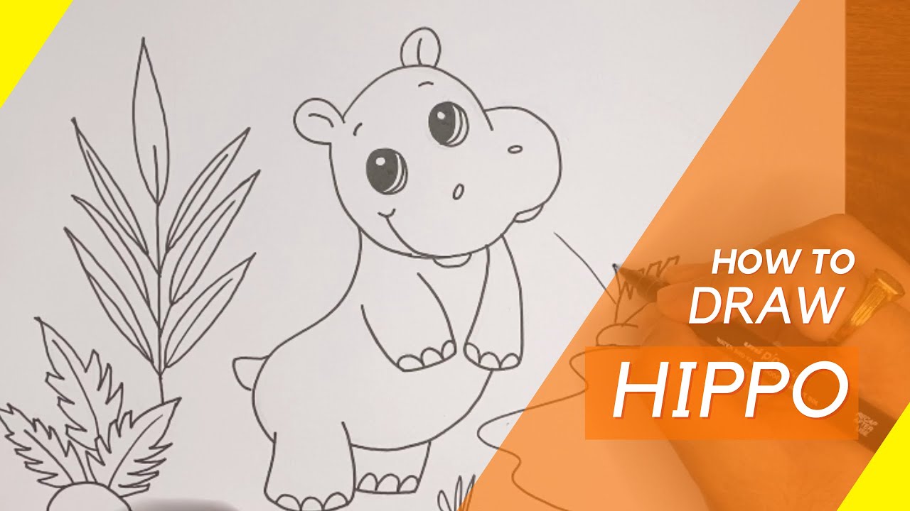 How to draw hippopotamus | easy step by step hippo drawing | drawing ...