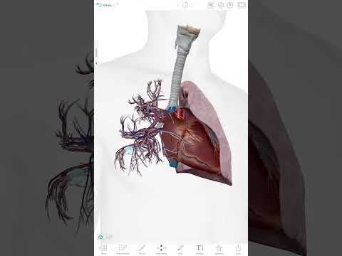 Dr Hilmi Keskin '' Yelken Göğüs / Flail Chest anlatımı ''