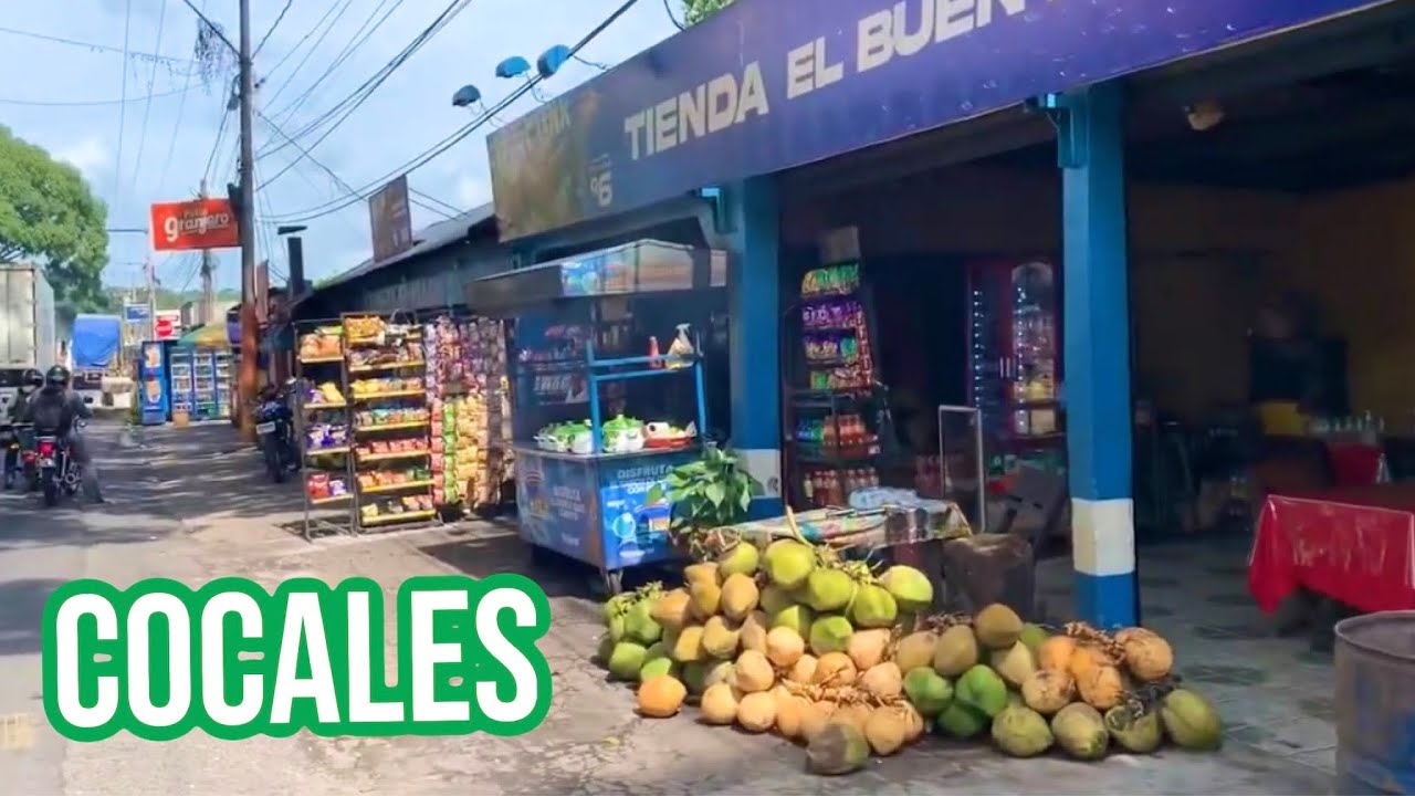 COCALES LA TIERRA 🌎 DE. LOS. 🥥 🌴 - YouTube