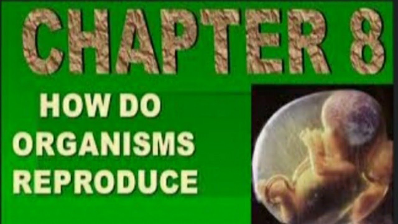CLASS 10 HOW DO ORGANISMS REPRODUCE | SCIENCE | MUST WATCH - YouTube