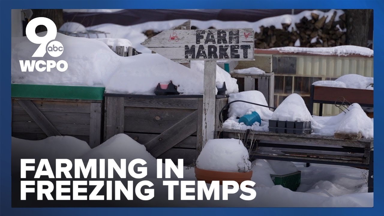 Farmer says costs to keep crops growing in bitter cold could put her ...