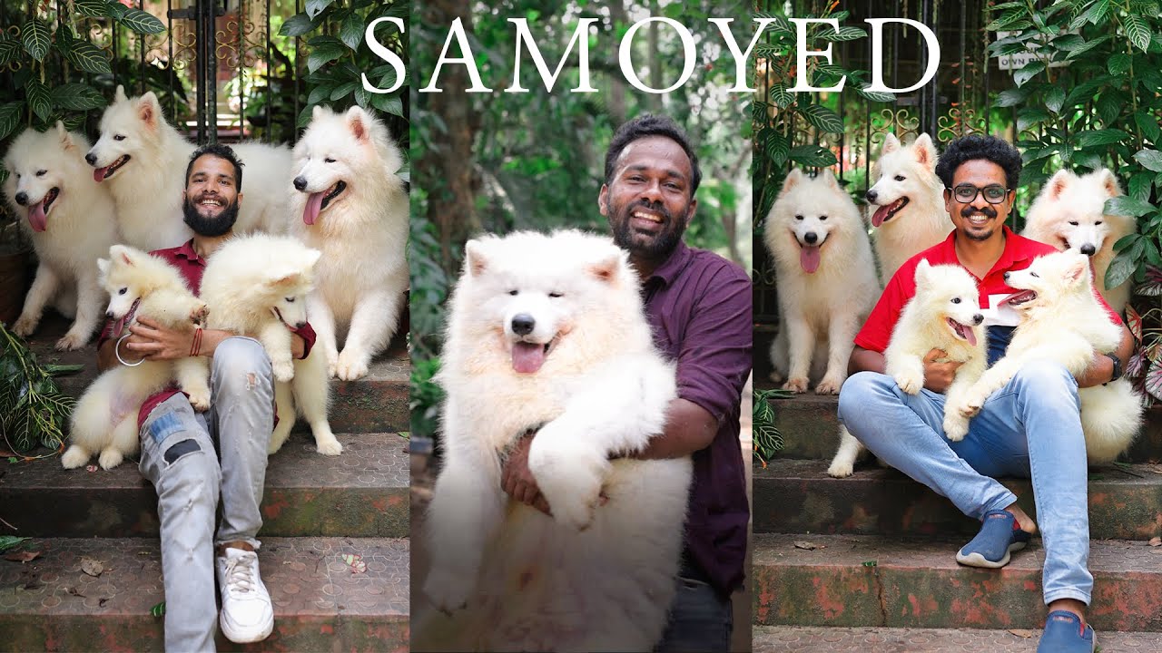 കേരളത്തിൽ ആദ്യമായി വെള്ളക്കരടികൾ / അതും നമ്മുടെ തിരുവനന്തപുരത്ത് 😍😍 ...