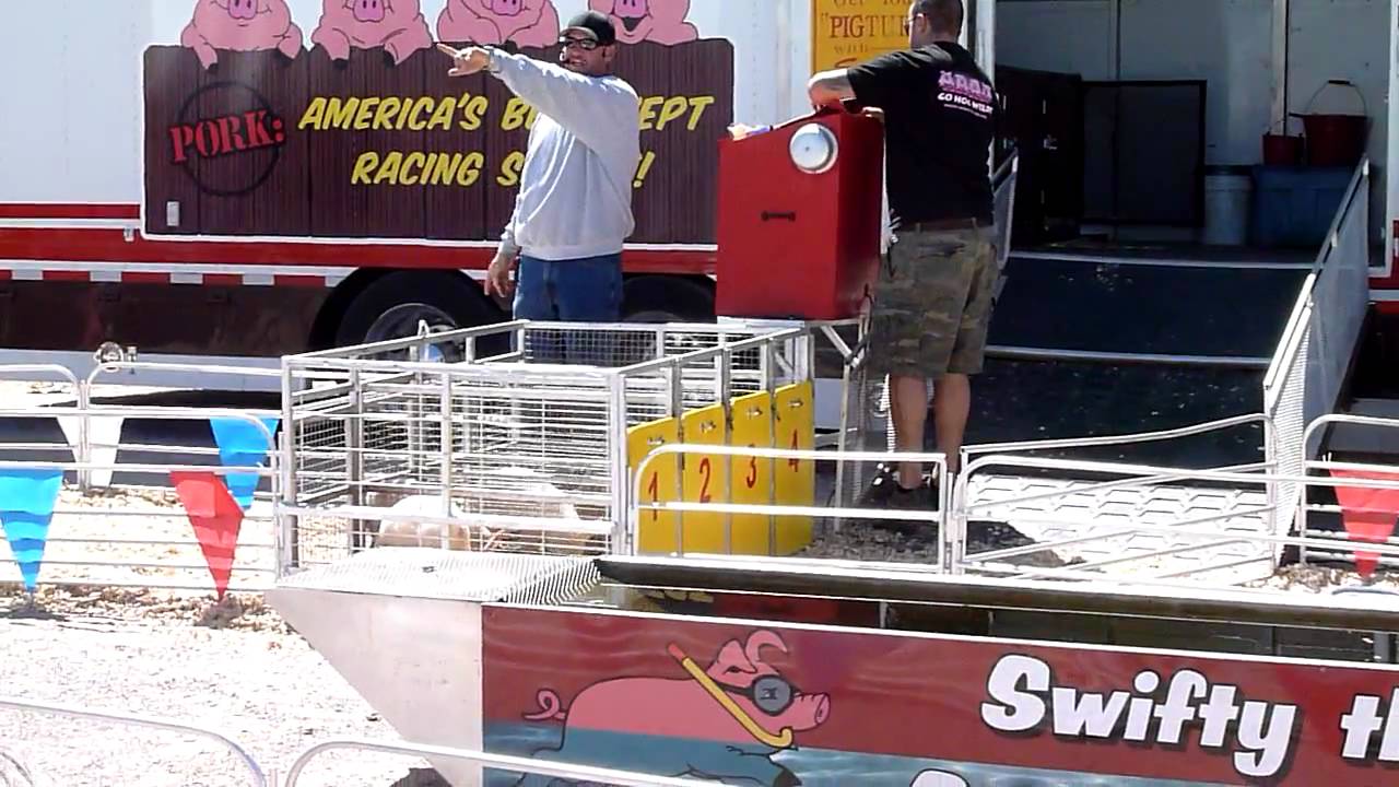 Pig Race at the Clark County Nevada Fair 2011 - YouTube