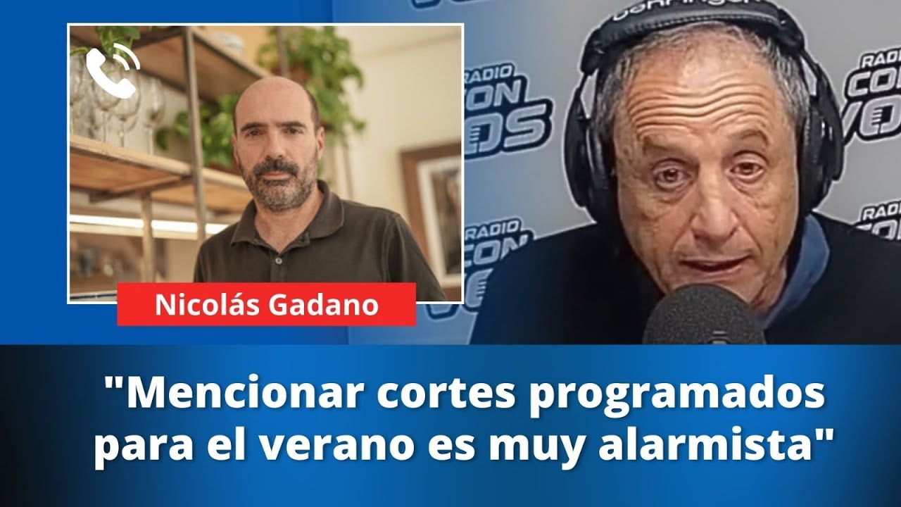Nicolás Gadano sobre los cortes programados de energía en verano que ...