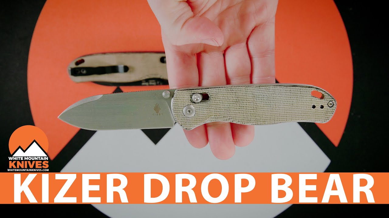 Kizer Drop Bear Folding Knife - Quick Look - YouTube