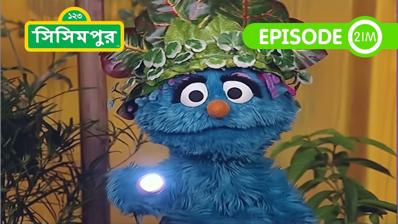 Sisimpur: Portulaca grandiflora | টাইম ফুল | Bangla Cartoon - YouTube