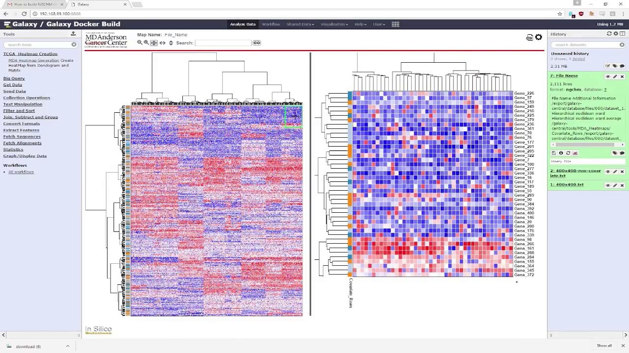 Running NG-CHM in a Galaxy Docker Container - YouTube