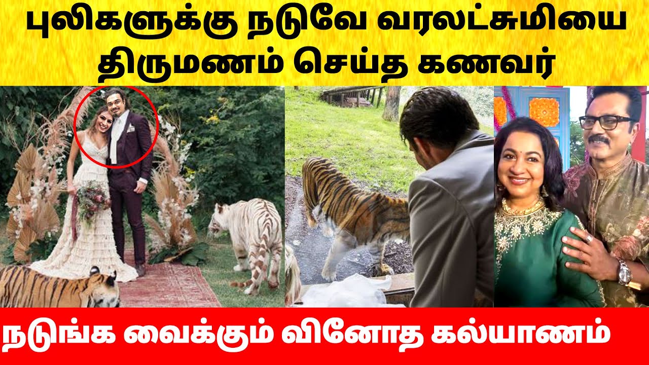 Varalaxmi marriage video | வரலட்சுமிக்கு வினோத திருமணம்! Sarathkumar ...