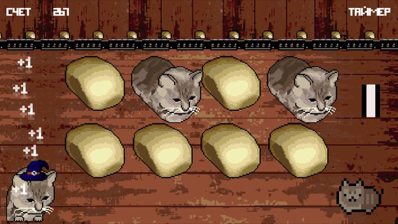 Cat or Bread - YouTube