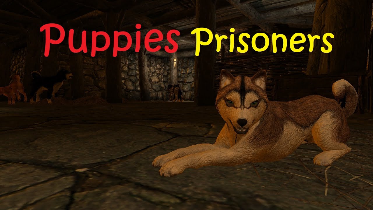 SKYRIM MOD Puppies Prisoners (with Dual Summon Dogs) - YouTube