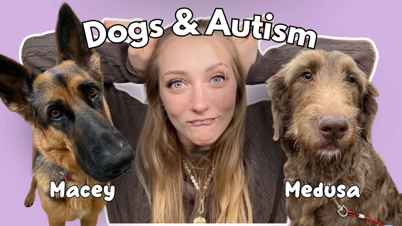 How My Dogs Help My Autistic Routine - YouTube