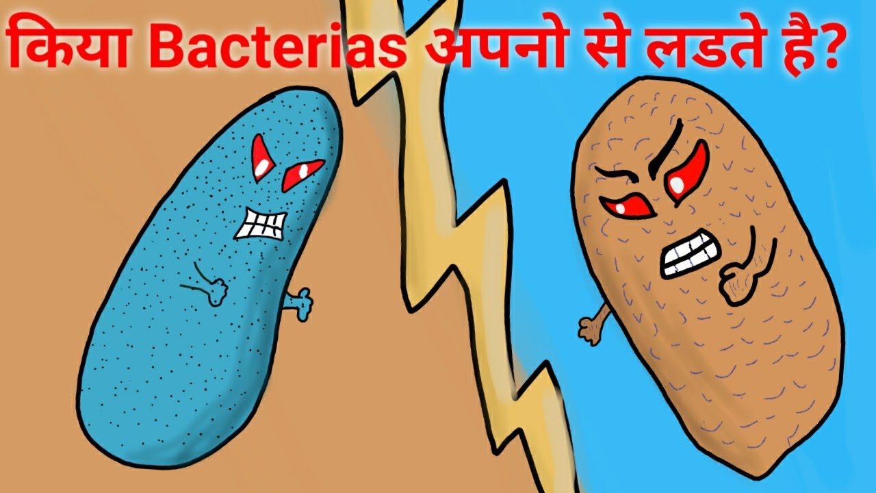Do bacteria fight with each other? - YouTube