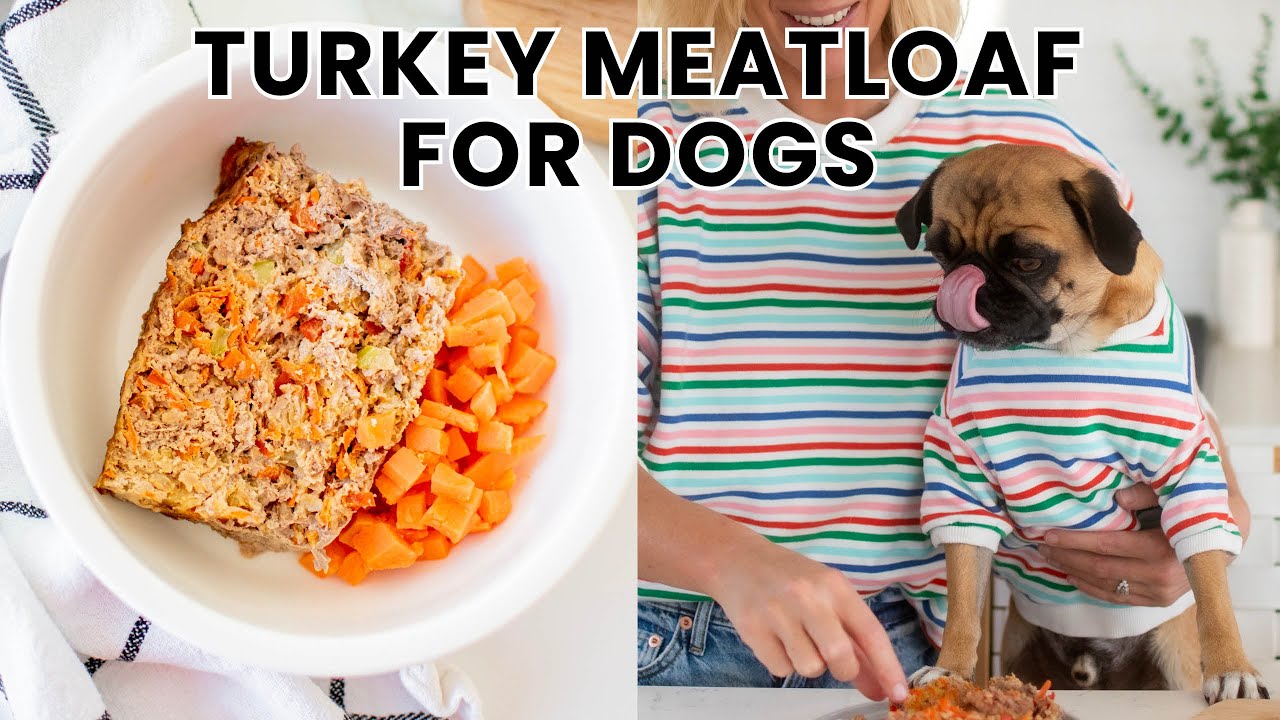Homemade Turkey Meatloaf for Dogs - YouTube