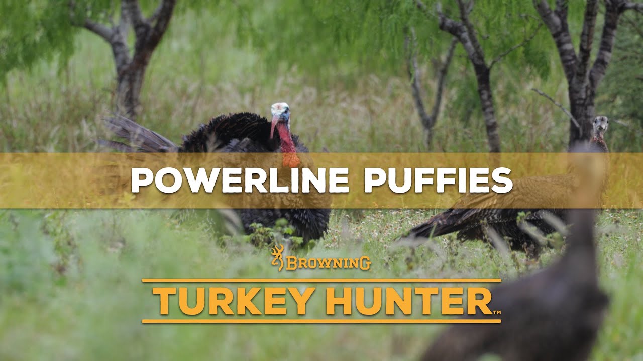 Turkey Hunter - Season 7, Episode 5 - Powerline Puffies - YouTube