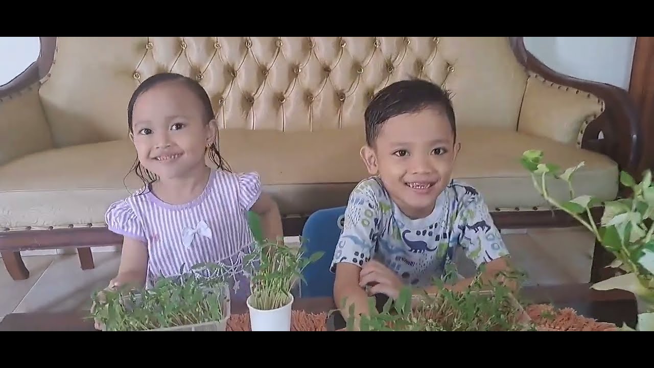 Elfathan dan Azalea Belajar Menanam Toge dr Kacang Hijau - YouTube