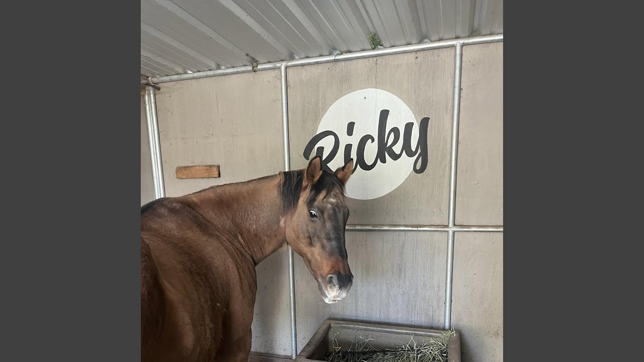 Ricky (Radio Edit) - YouTube