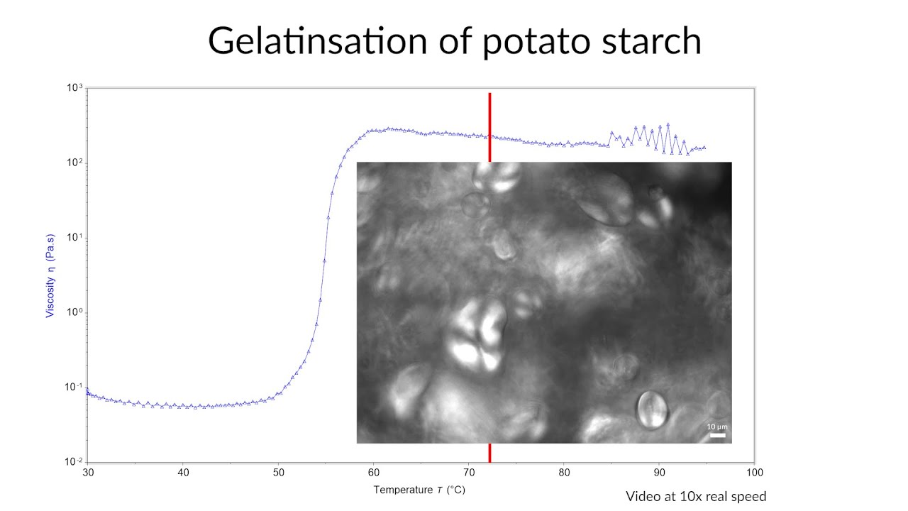 Rheomicroscopy - gelatinisation of potato starch - YouTube