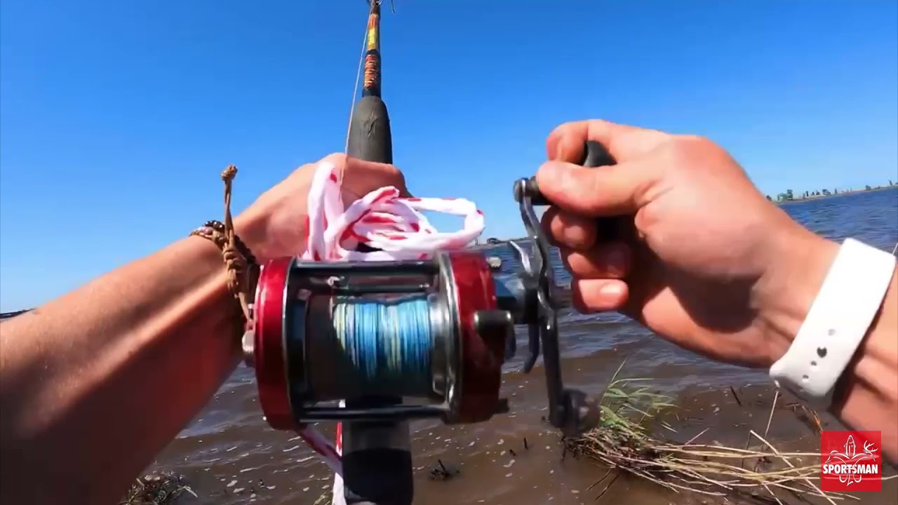 6 Foot Alligator Gar Caught In Lake Maurepas - YouTube