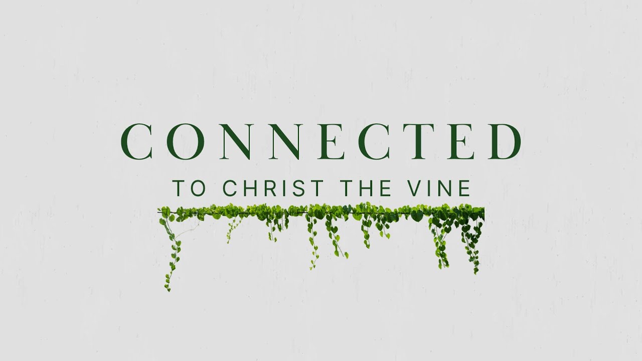 Connected to Christ the Vine - YouTube