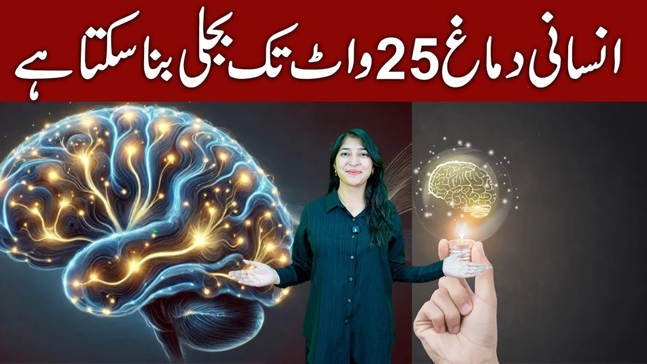 Human Brain Can Generate up to 25 Watts of Power - That's Enough to ...