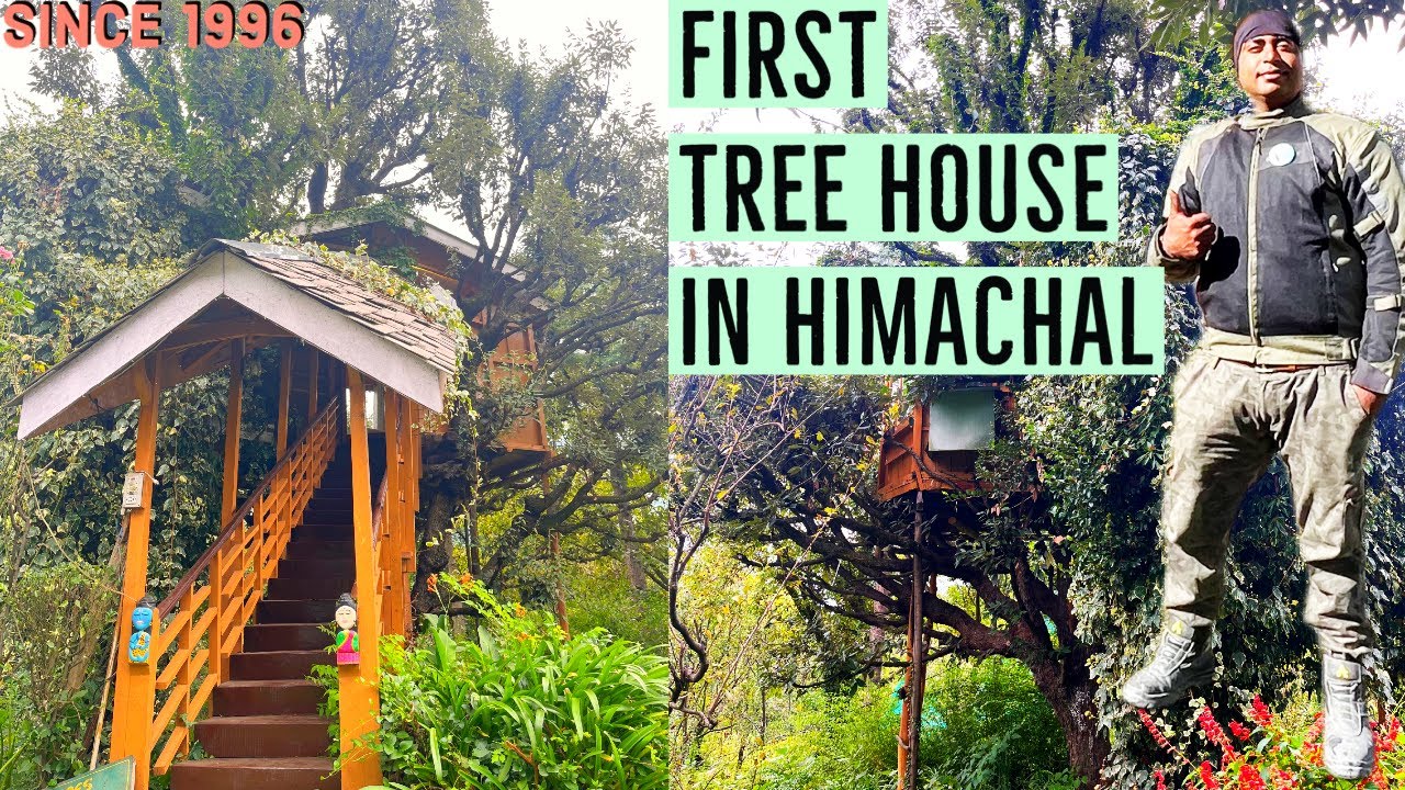 FIRST TREE HOUSE OF HIMACHAL | BEST TREE HOUSE IN HIMACHAL #treehouse # ...