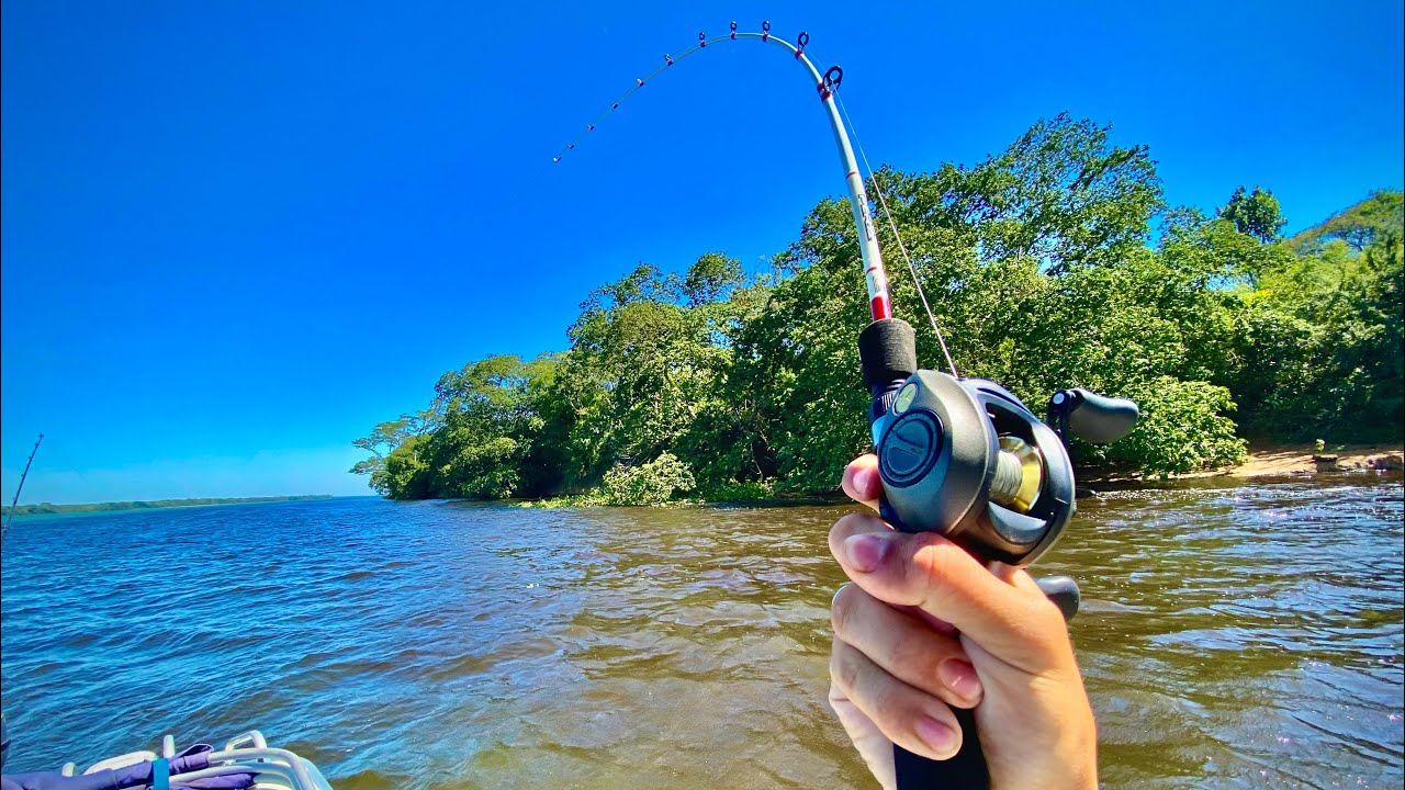 PESCARIA NO RIO PARANÁ! Piapara e pacu em Porto Rico-PR - YouTube