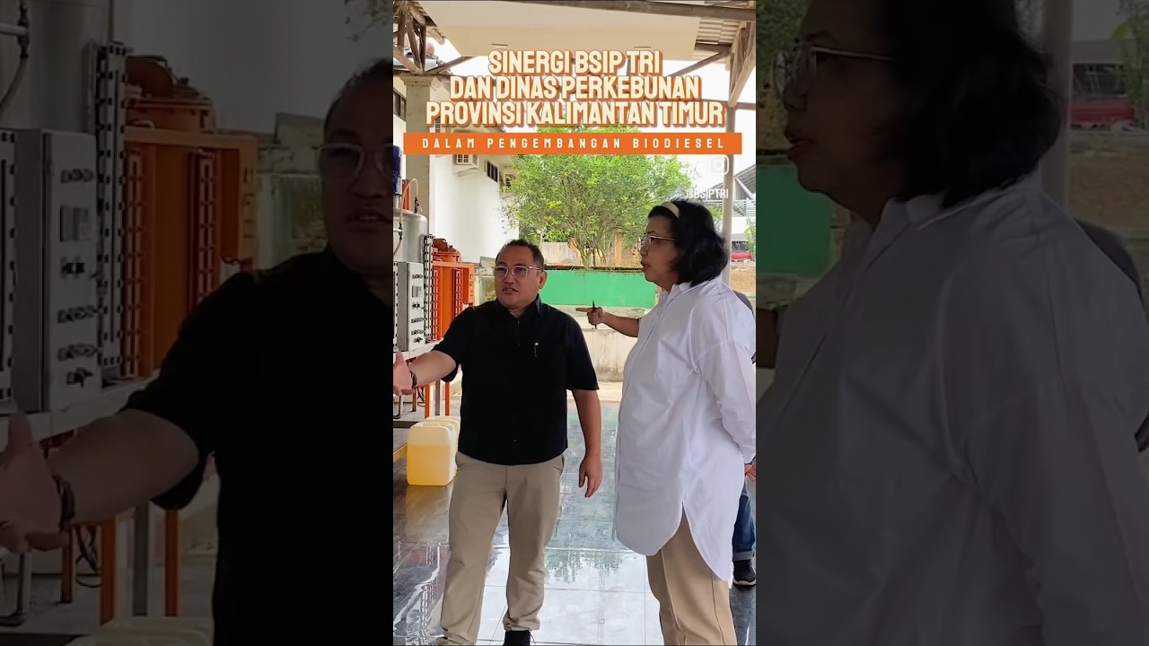 Sinergi BSIP TRI dan Disbun Kaltom dalam Pengembangan Biodiesel - YouTube