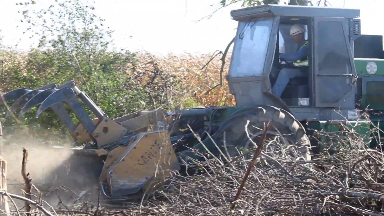 Taking down trees on the farm - YouTube