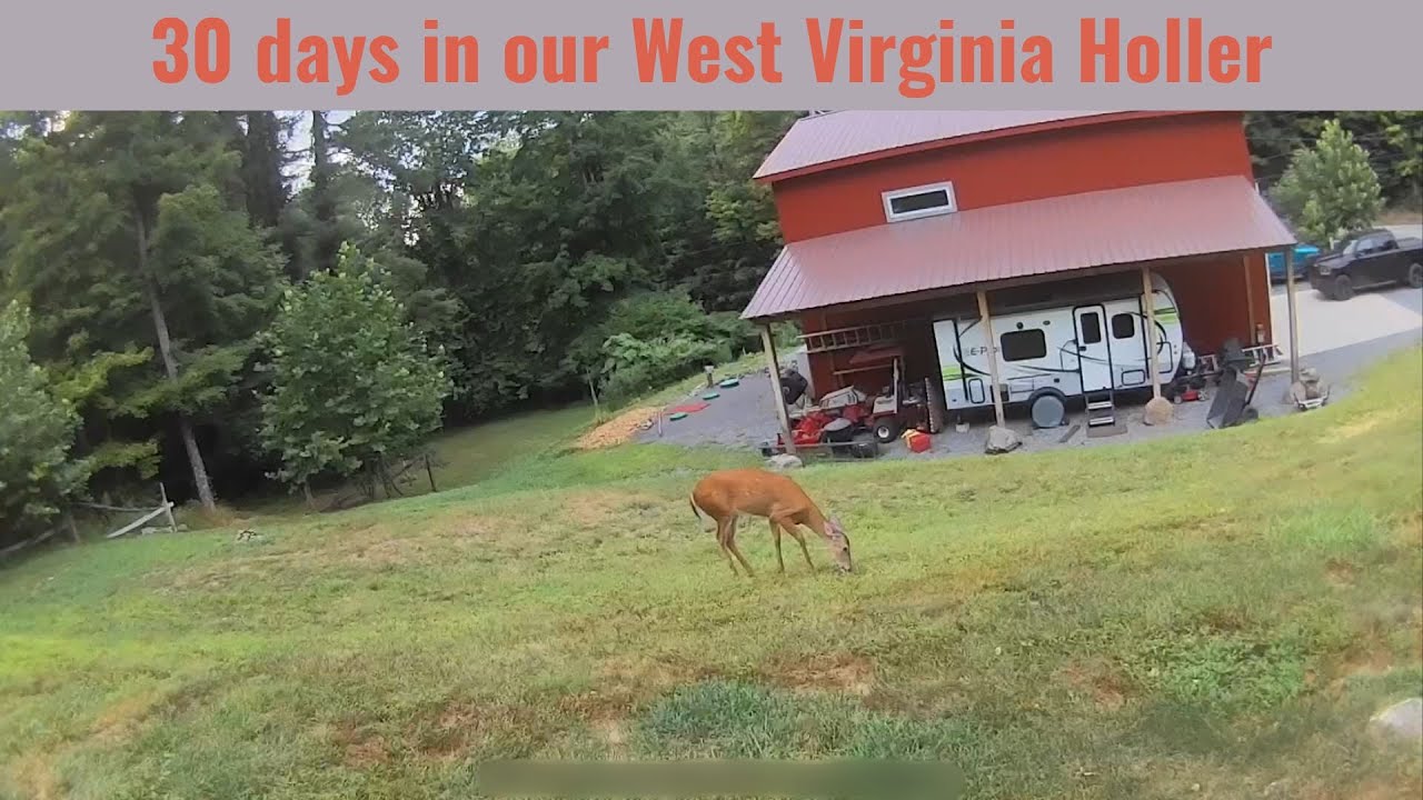 30 days in our West Virginia Holler: A raw unfiltered look into our ...