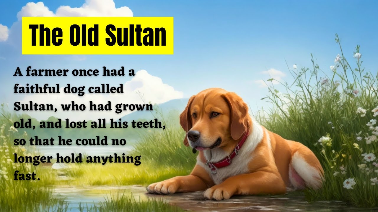 The Old Sultan English Story | Old Sultan A faithful dog | The faithful ...