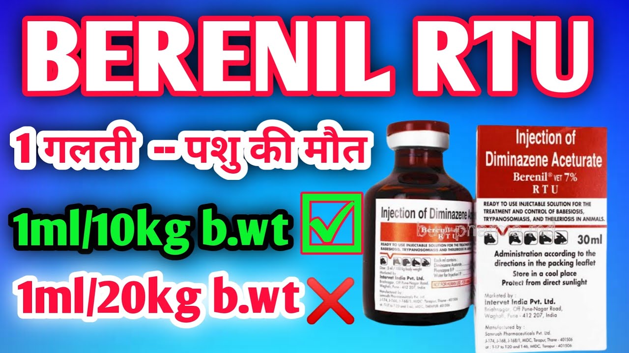 Berenil(Diminazene Aceturate) Injection! पशुओ में किन रोगो में काम करता ...
