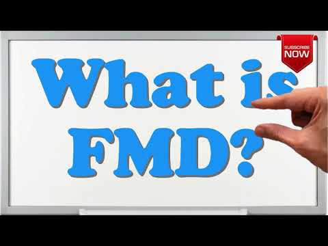 What is the full form of FMD? - YouTube