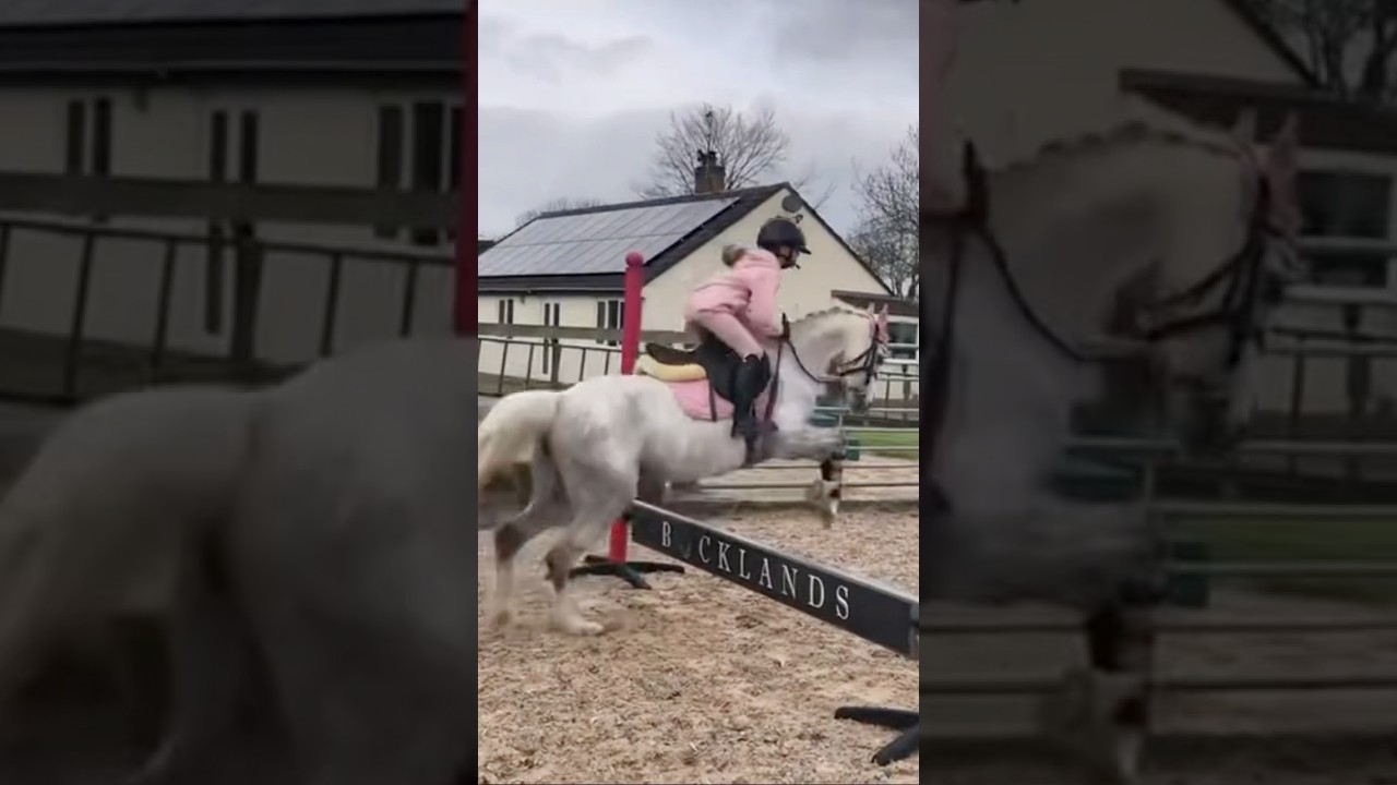 Esme is so well behaved . #horse #equestrianvibes - YouTube