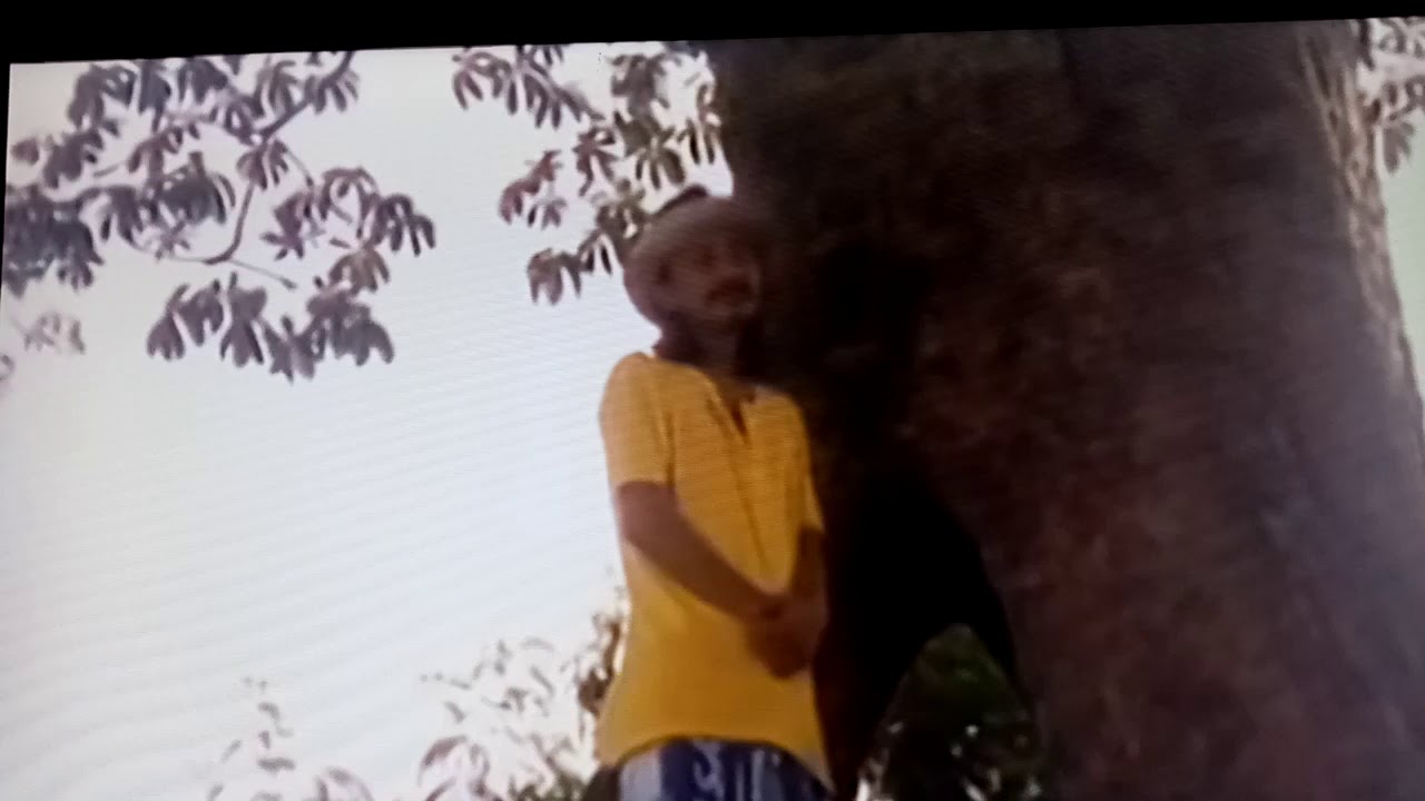 RENE REQUIESTAS pido dida best scene - YouTube