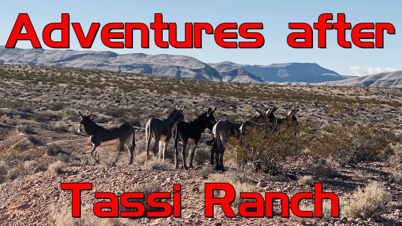 PreRun to Tassi Ranch Part 2 - YouTube