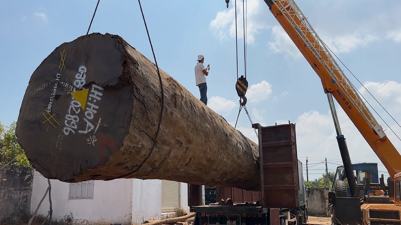Giant Wood Processing Factory // Sawing 15m Long Trees - YouTube