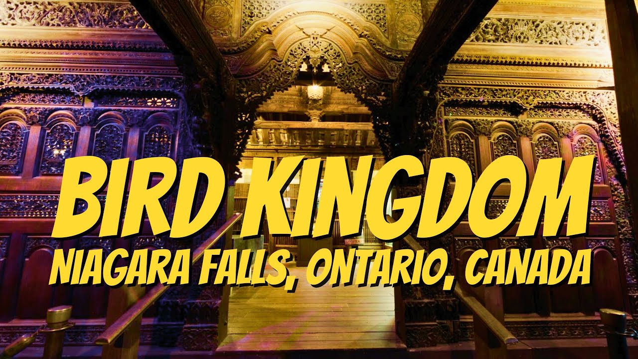 Bird Kingdom at Niagara Falls, Ontario, Canada | Virtual Walks - YouTube