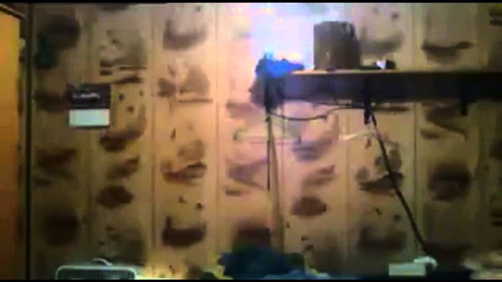 Guy Rapping About Smoking A Blunt Passes Out From A Blunt - YouTube