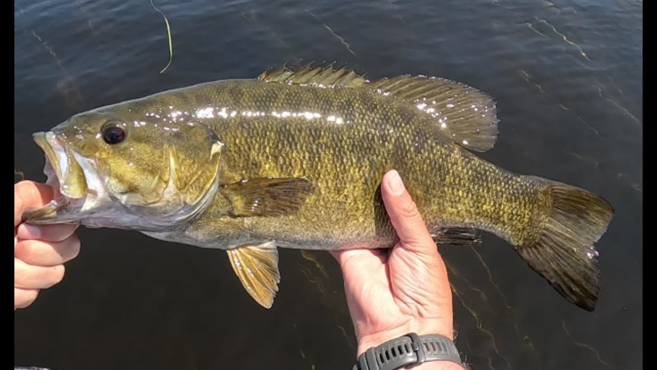 Grandma & Grandpa Go Fishing - YouTube