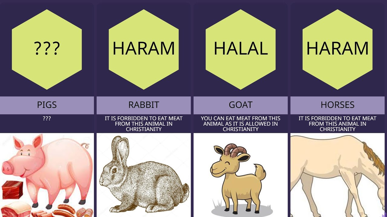 Haram Halal Meat In Christianity Do Not Eat These YouTube haram-halal-meat-in-christianity-do-not-eat-these-youtube