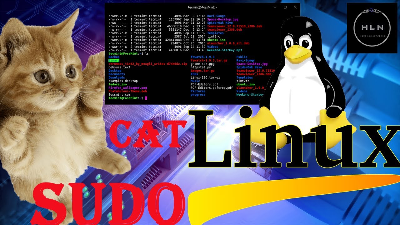 Lets Learn Linux Commands To Get You Started Youtube 4473