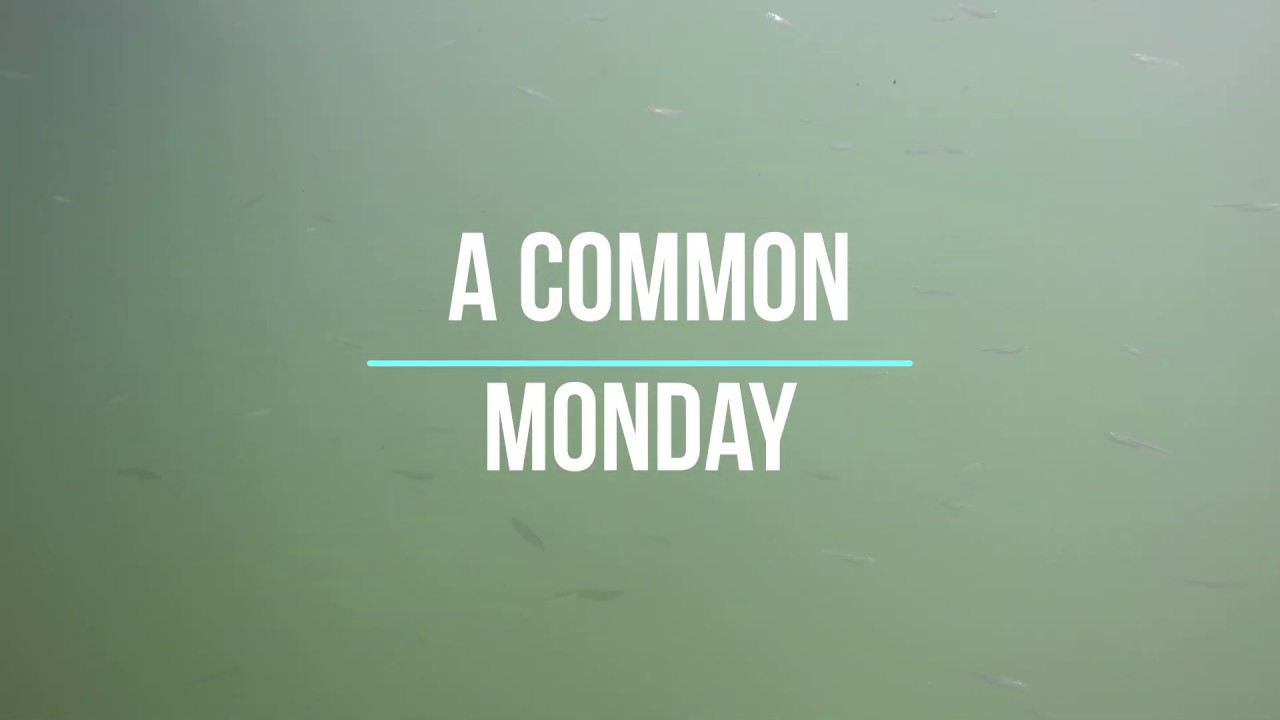 Another Monday - YouTube