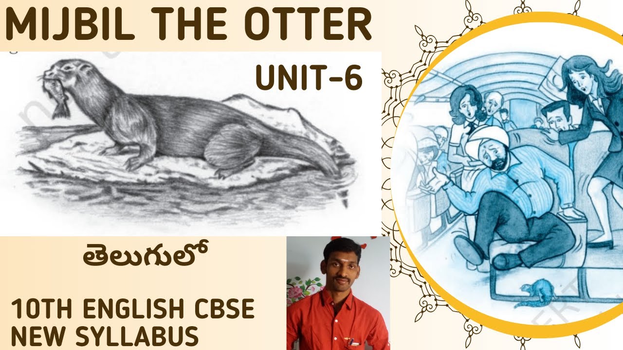 💐💯10th English New Syllabus First Flight Unit-6"Mijbil the Otter ...