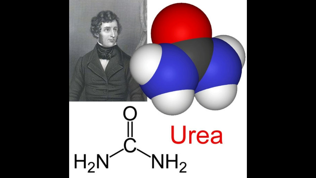 What is Urea - YouTube