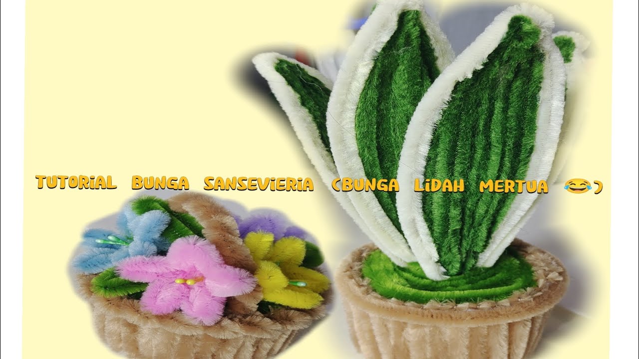 Tutorial bunga sansevieria (lidah mertua/snake plant) dari kawat bulu ...