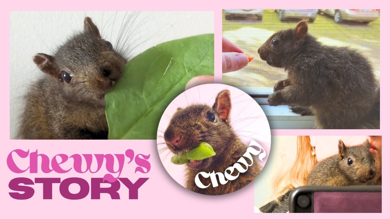 Chewy tries new foods and spinach activates Popeye Parkour mode - YouTube