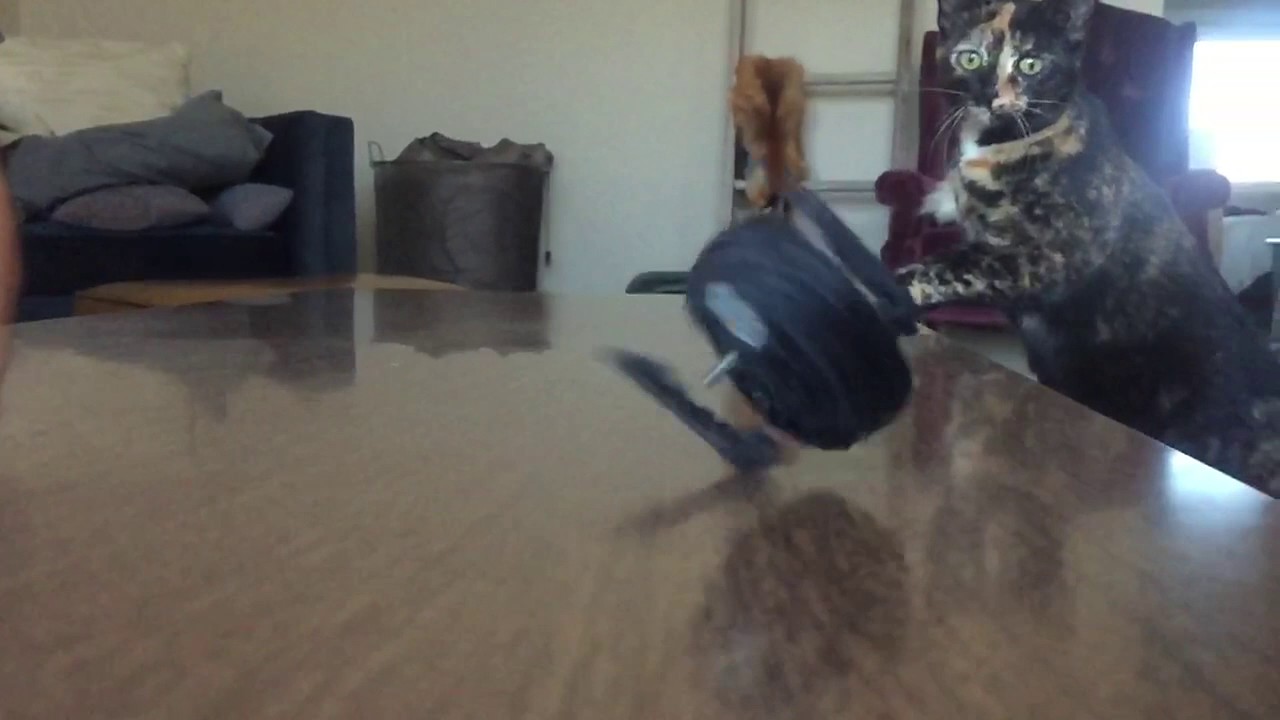 Wobbly Woozer Slow Motion Movement - YouTube