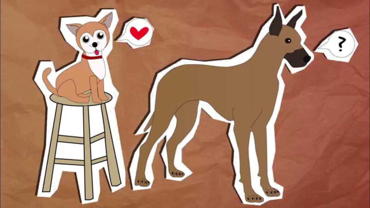 A Brief History of Dogs - YouTube