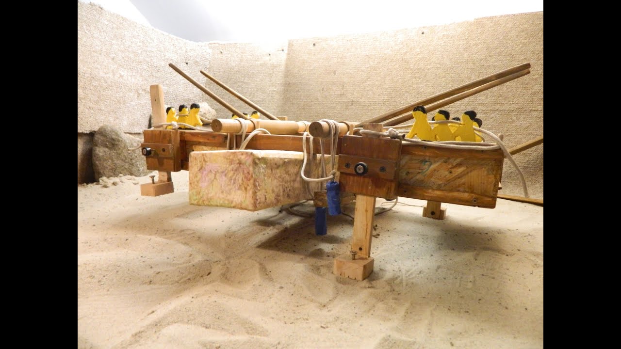 O kole inaczej Roz. 5 TRANSPORT NA CZTERECH NOGACH - TRANSPORTTATION ON ...