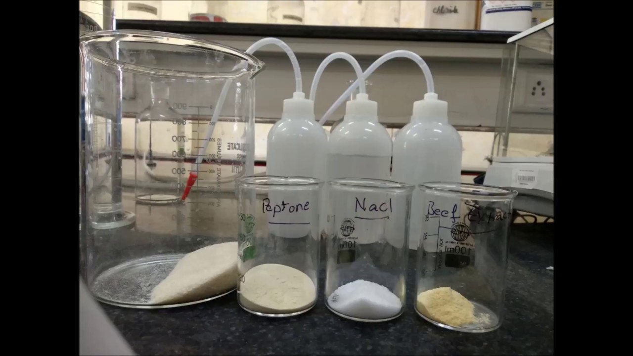 Nutrient agar preparation by praveen kumar yekula - YouTube
